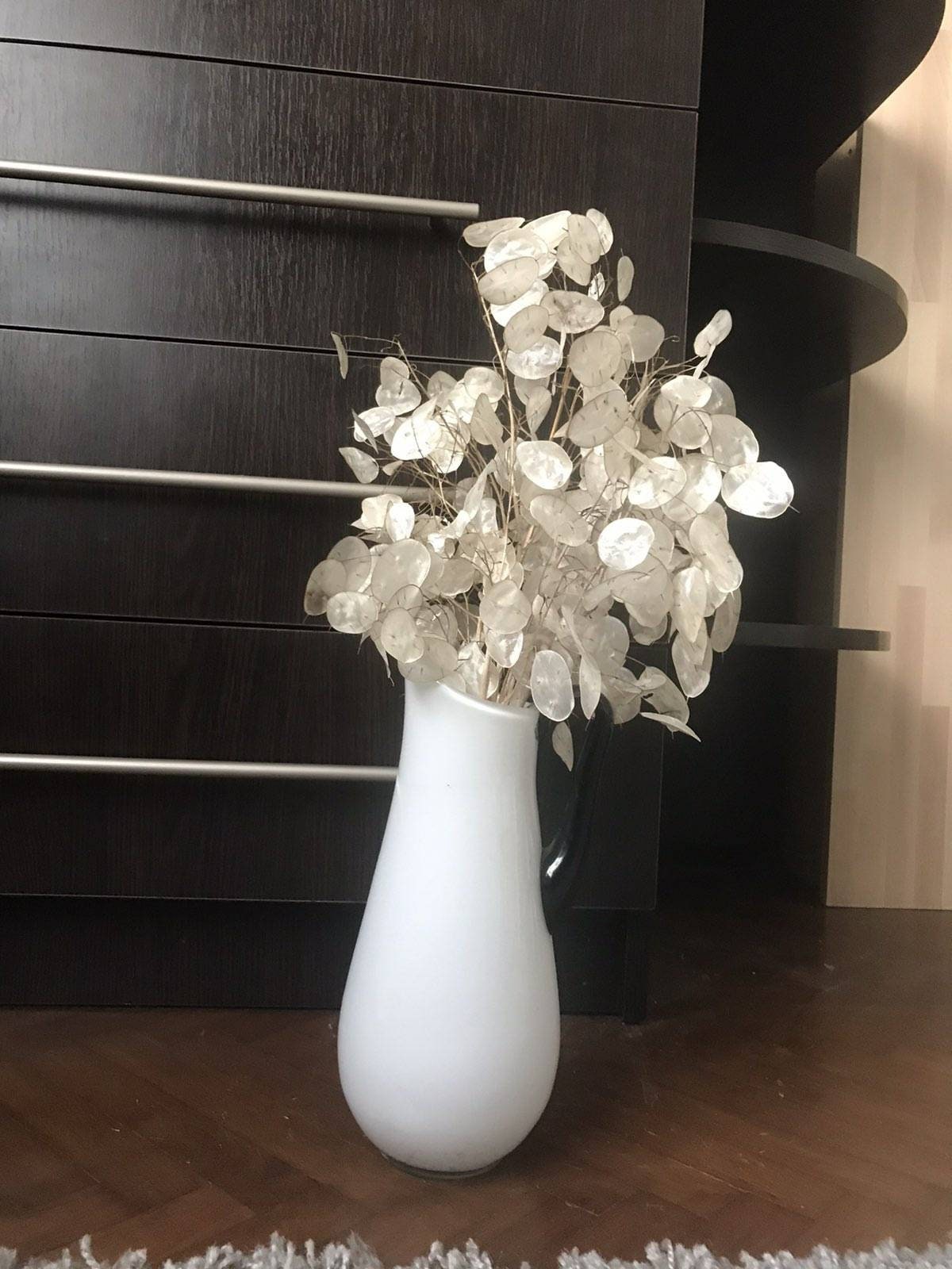 Dried Lunaria Stems, Natural Money Plant, Silver Dollar Branches. - Etsy