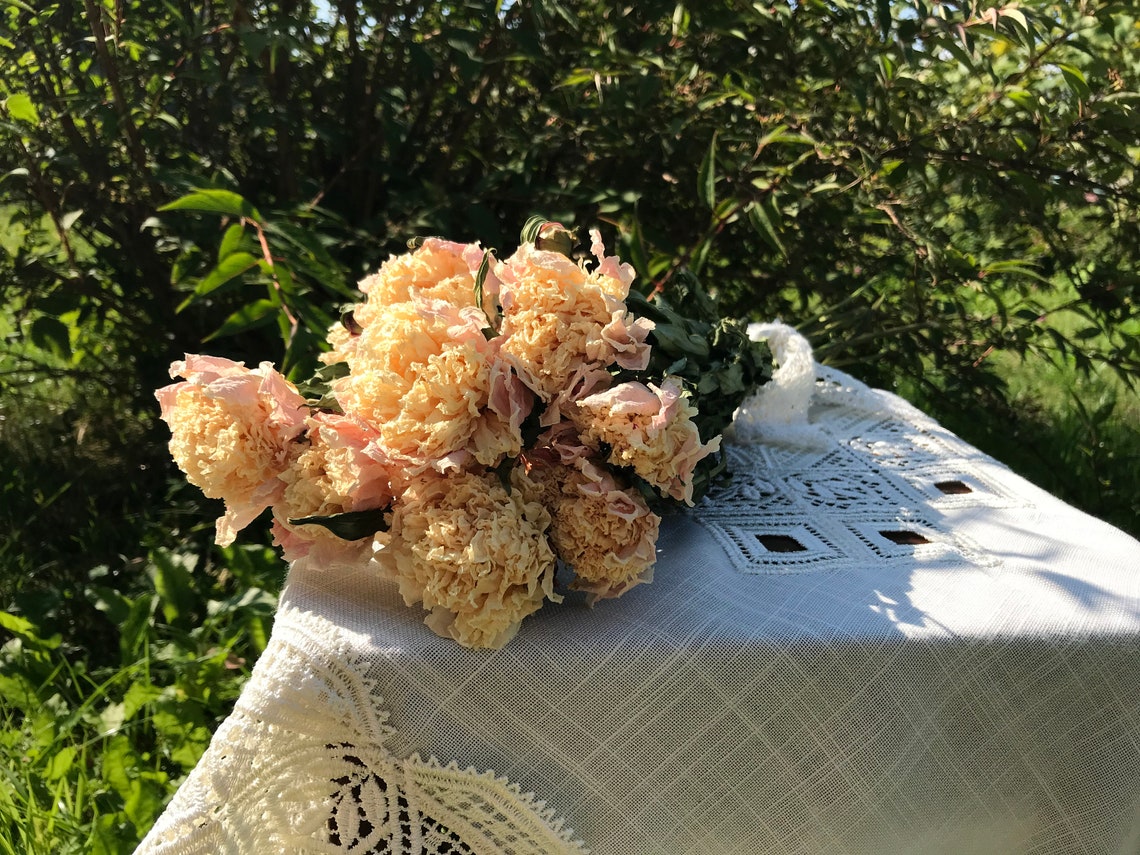 Creamy Peony Dried Peony Dried Flowers Home Decor Nice - Etsy