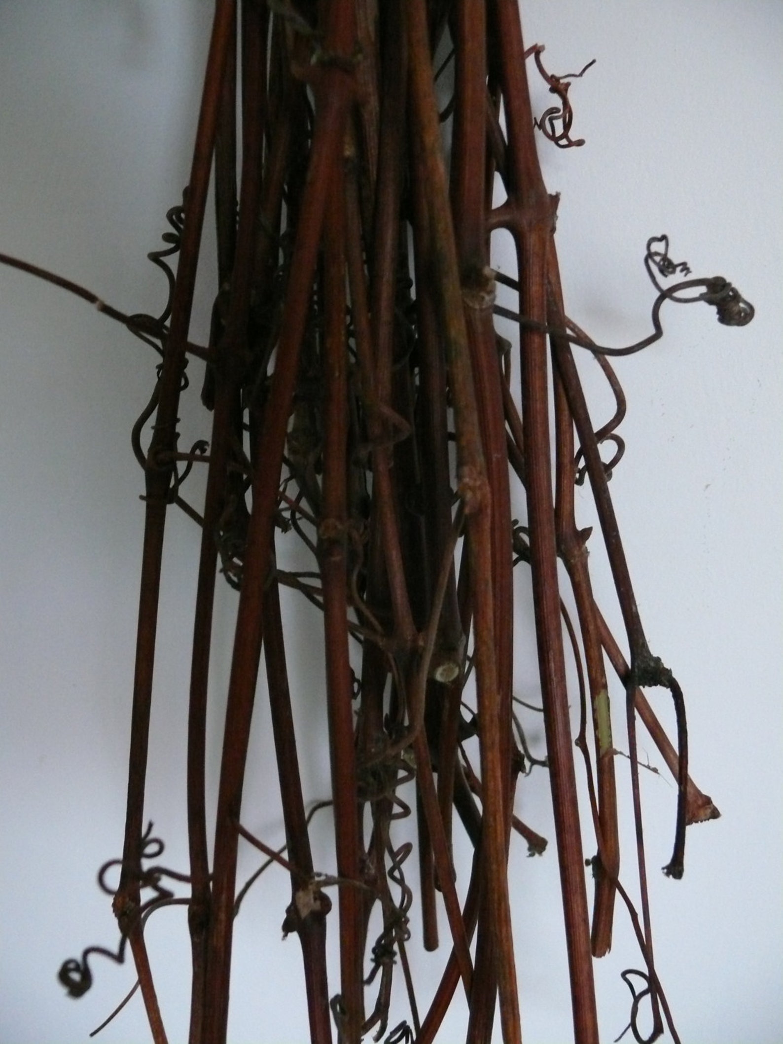 Vine Vine Branches Grape Sticks Rustic Decor Home Decor. - Etsy