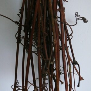 Vine, Vine Branches, Grape Sticks, Rustic Decor, Home Decor. - Etsy