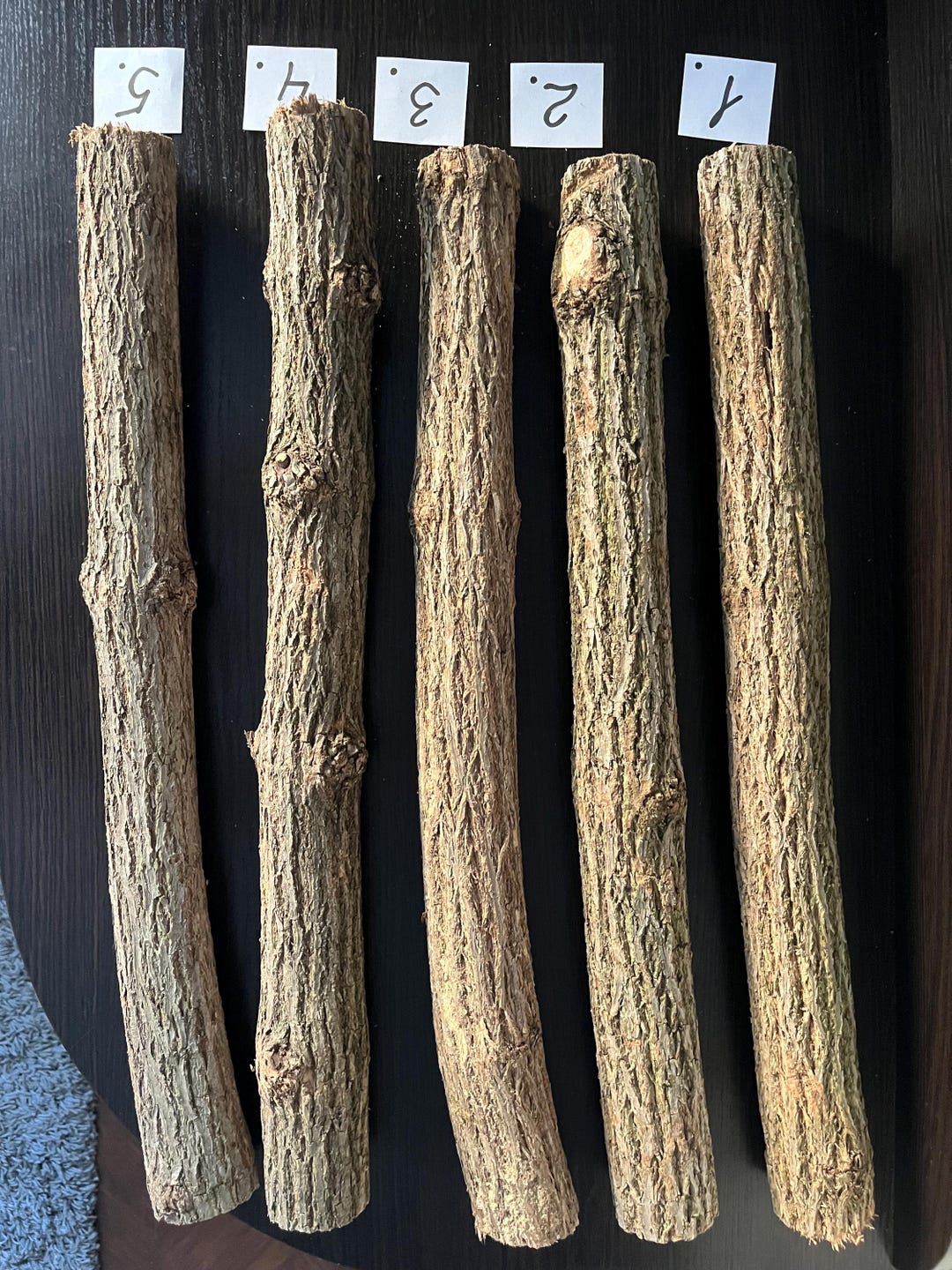 Elder Branches, Dried Elder Twigs, Branch Black Elder,sambucus Nigra ...