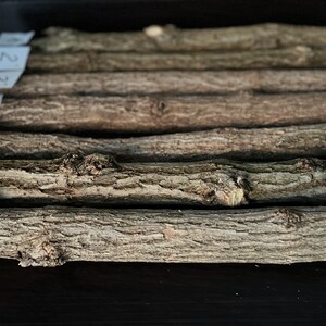 Elder Branches, Dried Elder Twigs, Branch Black Elder,sambucus Nigra ...