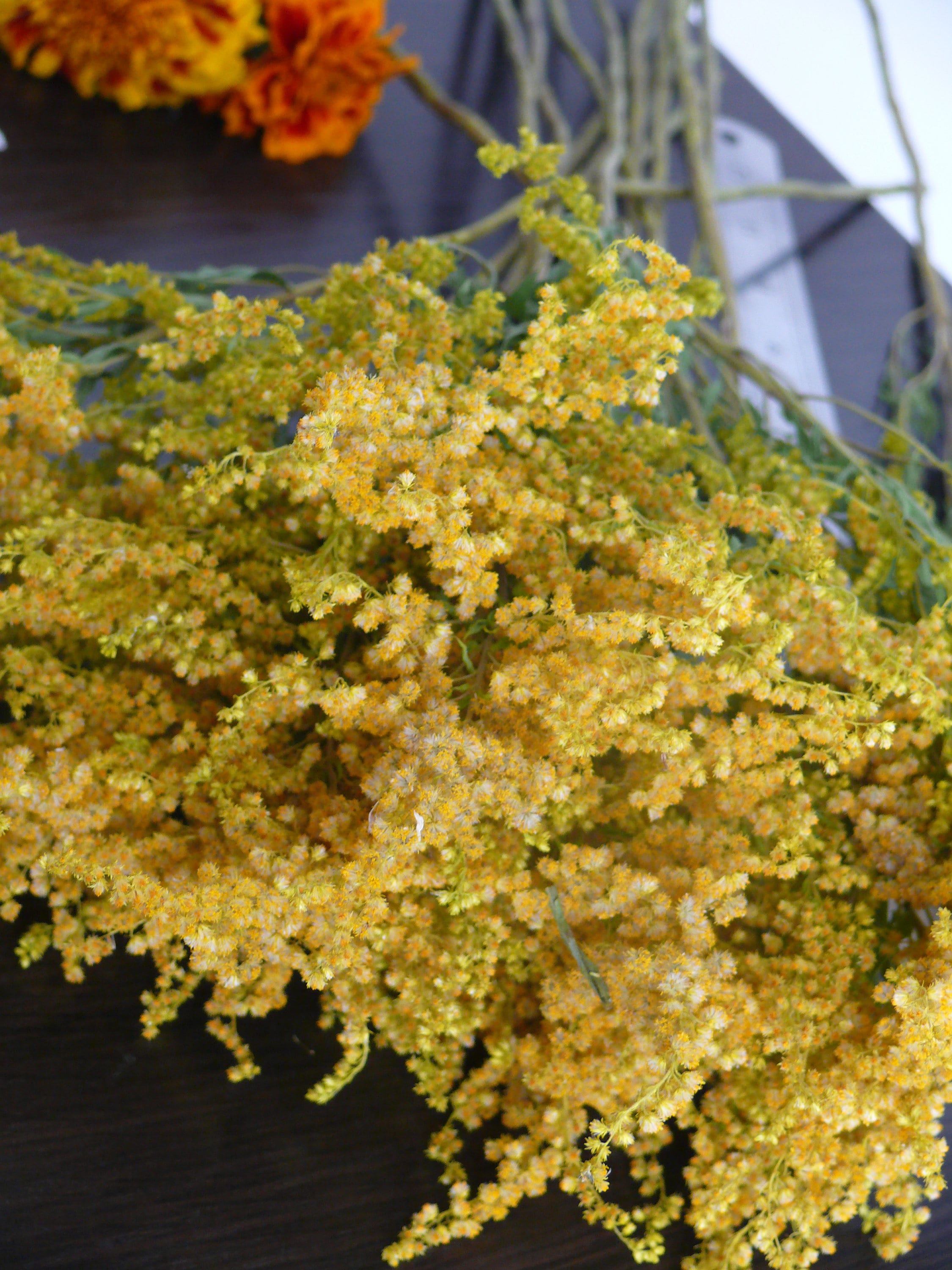 Dried Goldenrod Bunch, Yellow Flower Filler, Carpathian Meadow Decor - Etsy