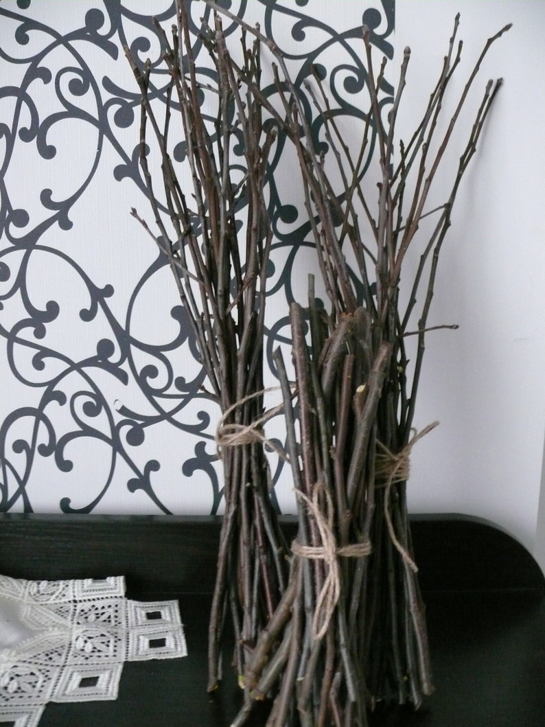 Apple Branches Apple Tree Wood Branches Wood Decor | Etsy