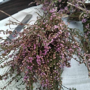 Bouque of Heather, Dried Purple Flowers, Bouquet of Purple Flowers ...