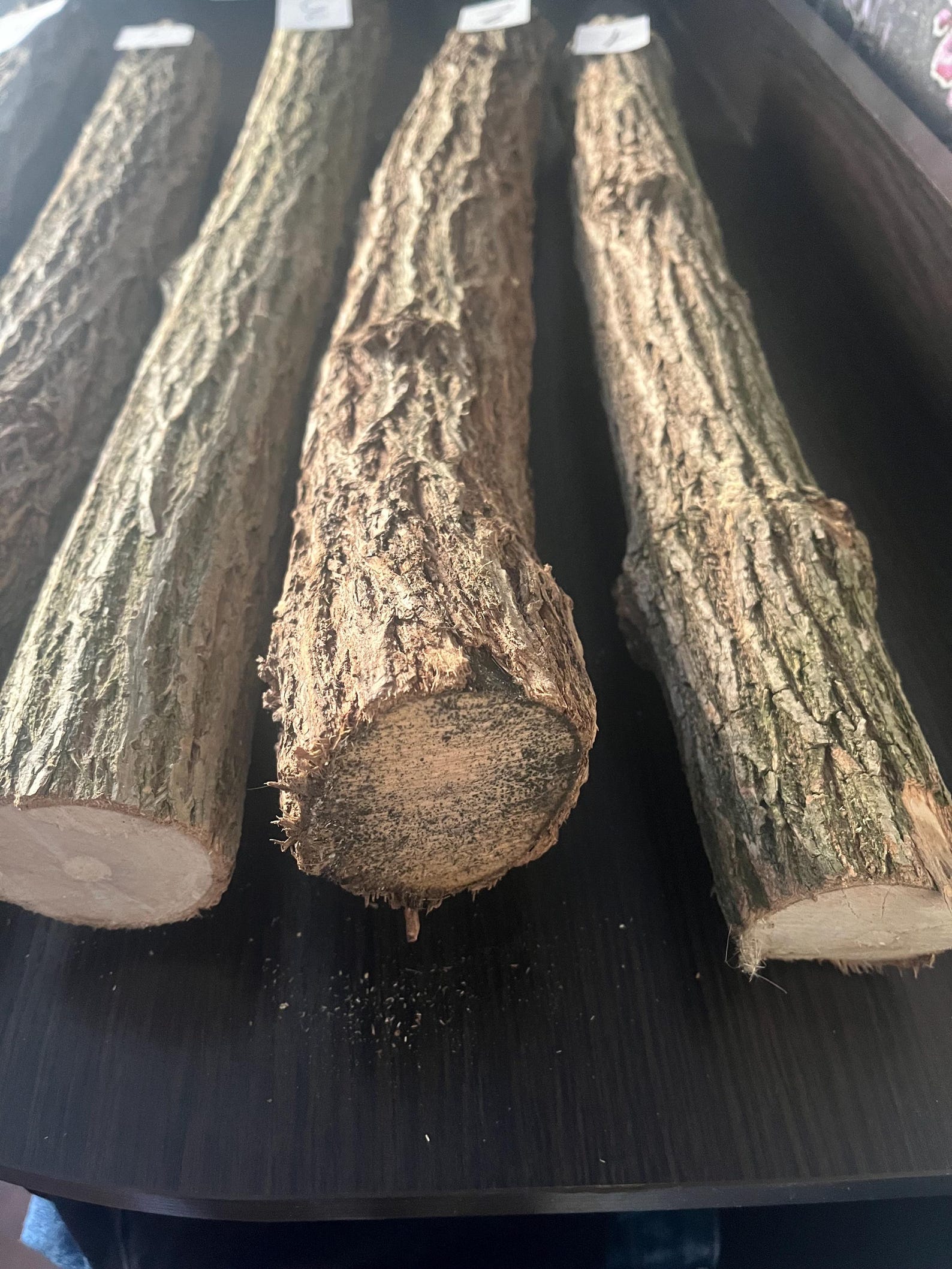 Elder Branches, Dried Elder Twigs, Branch Black Elder,sambucus Nigra ...