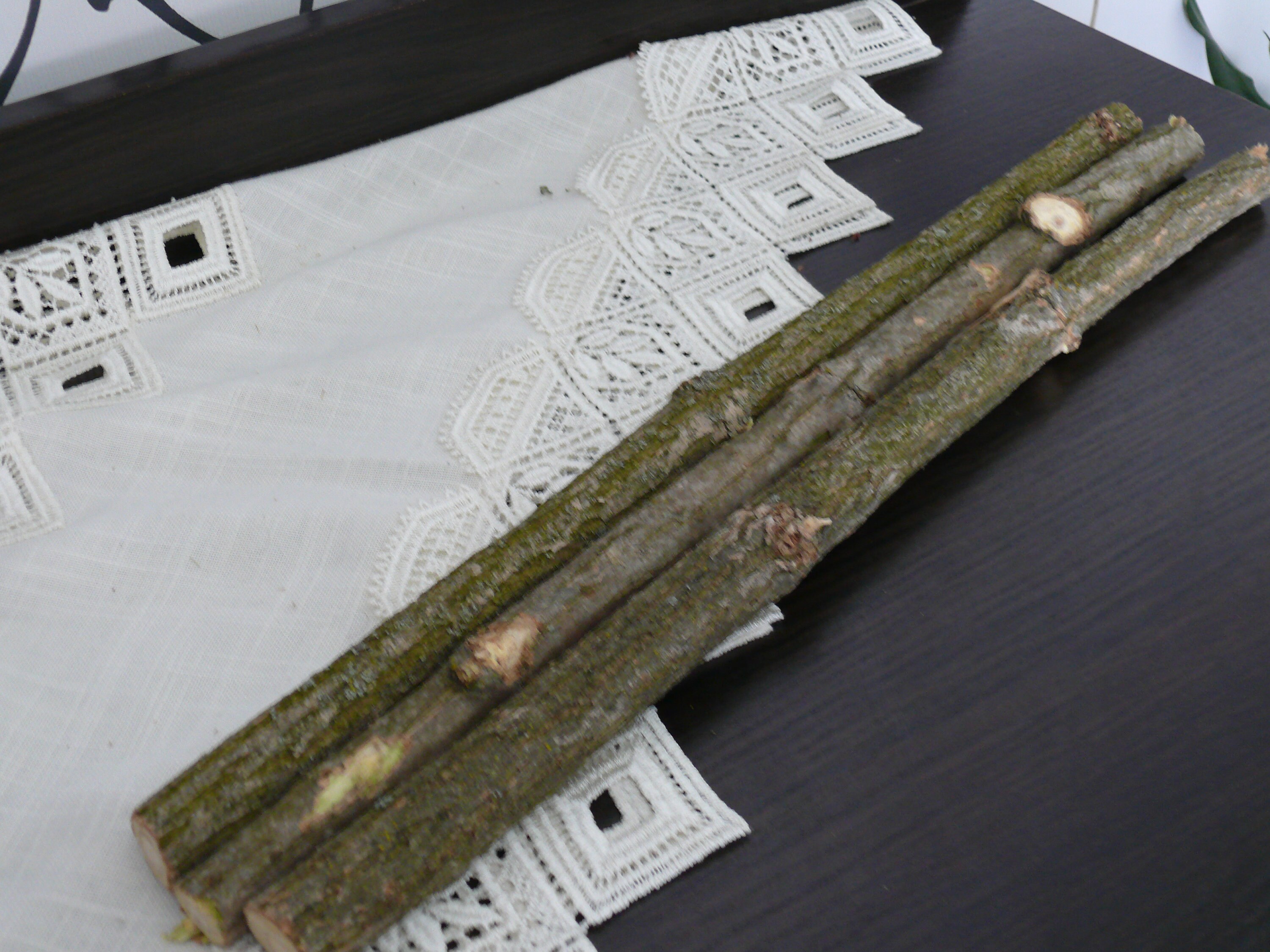 Elder branches Dried Elder Twigs Branch Black elderSambucus | Etsy