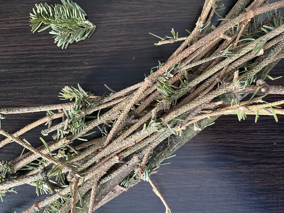 Balsam Fir Branches, Fir Branches, Dry Branches, a Set of Fir Branches ...