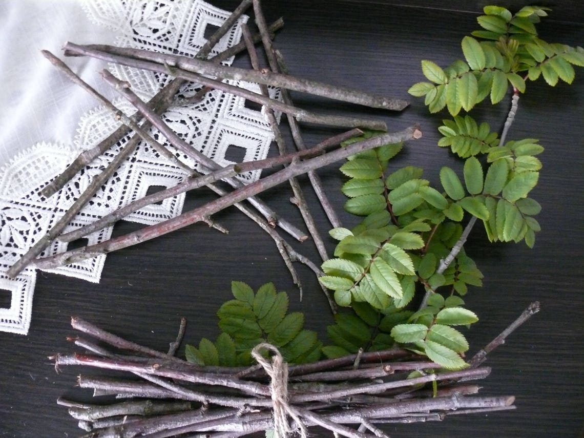 Rowan Branches Rowan Twigs Rowan Wood Shamanic Supply - Etsy
