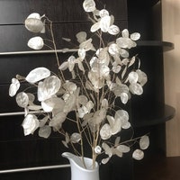Lunaria Branches, Choose Your Set Bouquet of Dry Money Plant, Silver ...