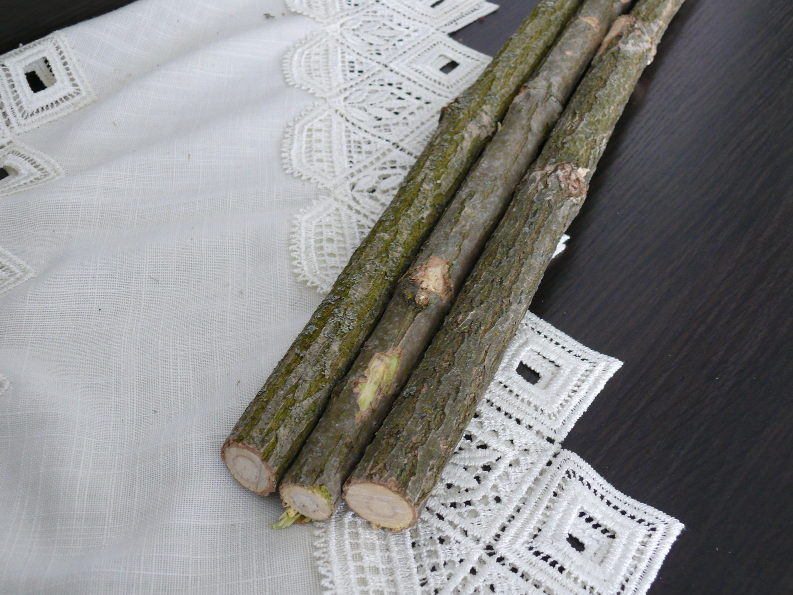 Elder branches Dried Elder Twigs Branch Black elderSambucus | Etsy