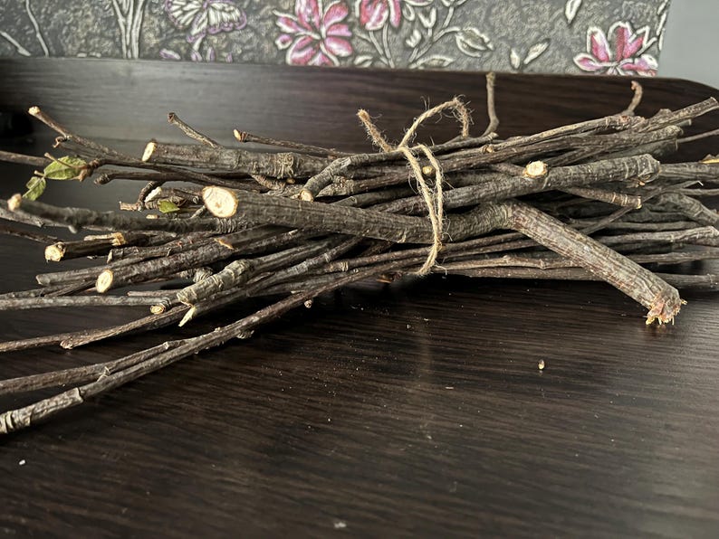 30 Rowan Branches, Dried Branches, Rowan Twigs, Rowan Wood, Shamanic ...