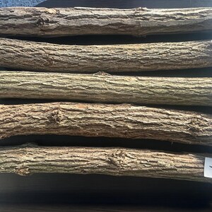Elder Branches, Dried Elder Twigs, Branch Black Elder,sambucus Nigra ...