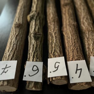 Elder Branches, Dried Elder Twigs, Branch Black Elder,sambucus Nigra ...