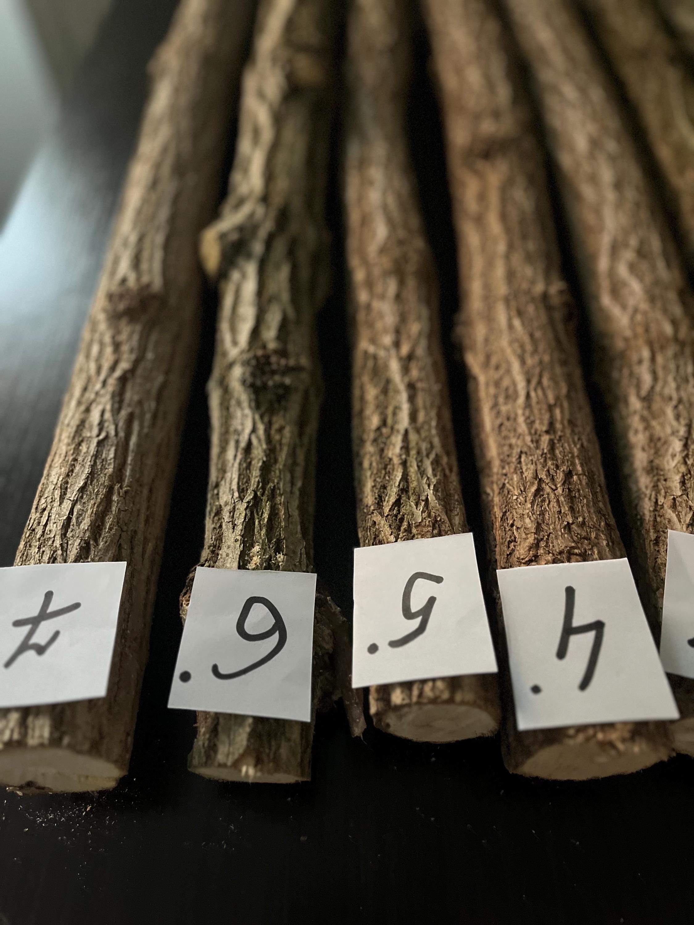 Elder Branches, Dried Elder Twigs, Branch Black Elder,sambucus Nigra ...