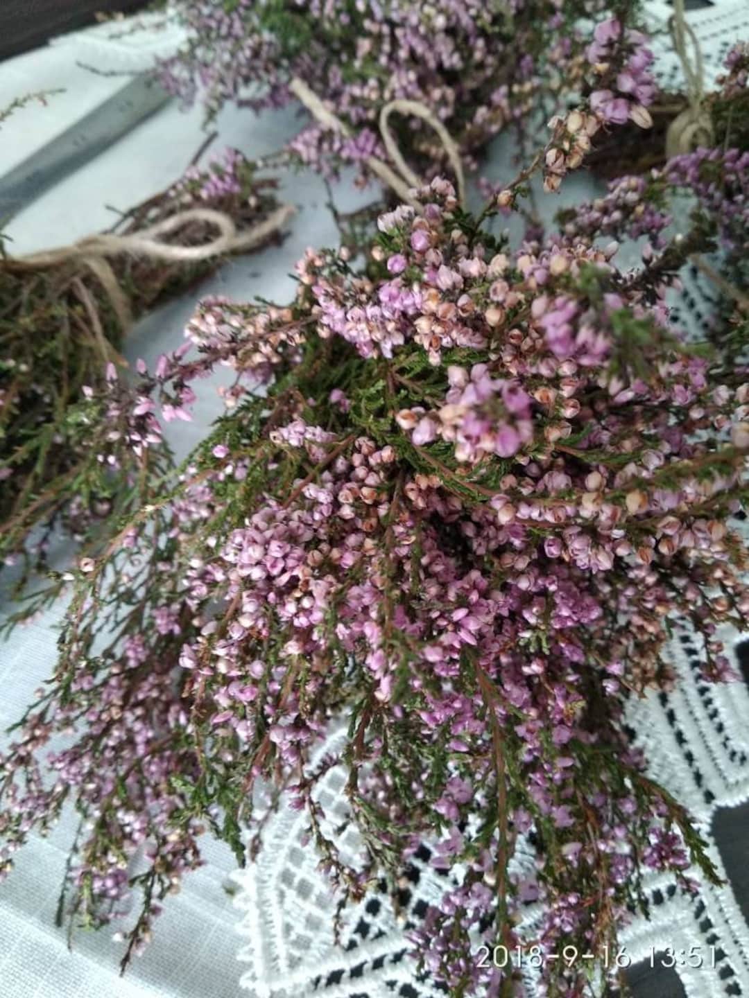 Bouque of Heather, Dried Purple Flowers, Bouquet of Purple Flowers ...