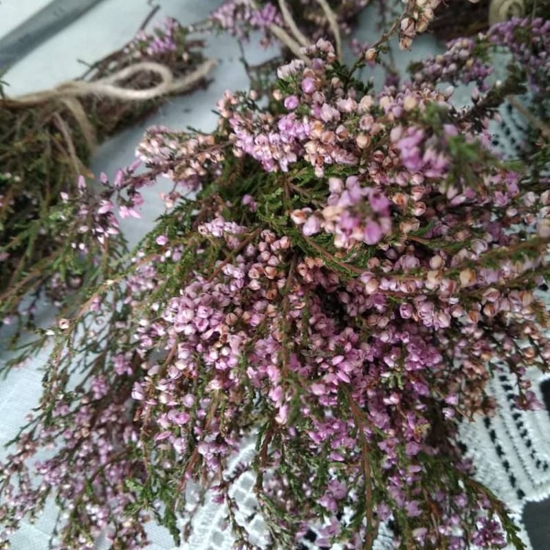 Rustic Purple Decor - Etsy