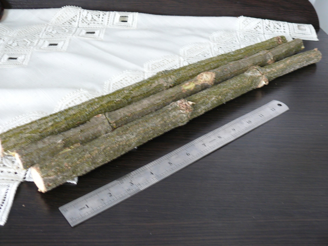 Elder Branches Dried Elder Twigs Branch Black Eldersambucus - Etsy