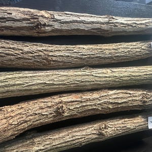 Elder Branches, Dried Elder Twigs, Branch Black Elder,sambucus Nigra ...