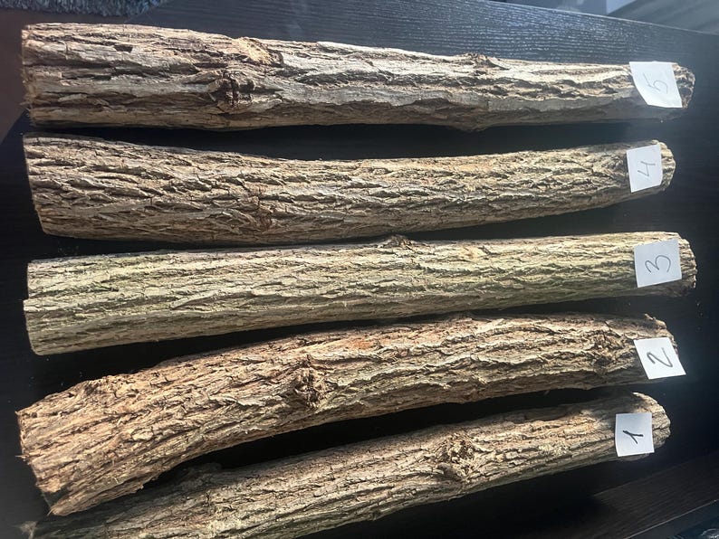Elder Branches, Dried Elder Twigs, Branch Black Elder,sambucus Nigra ...