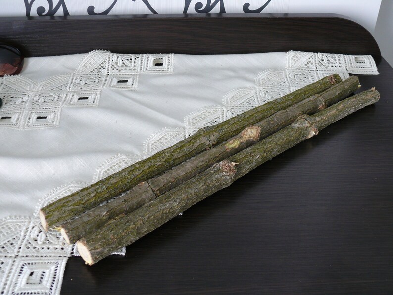 Elder Branches Dried Elder Twigs Branch Black Eldersambucus - Etsy