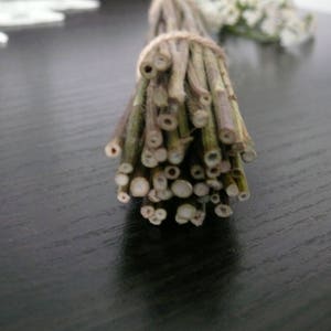 Yarrow Stalks, I Ching, Dried Yarrow, Yarrow Sticks. - Etsy