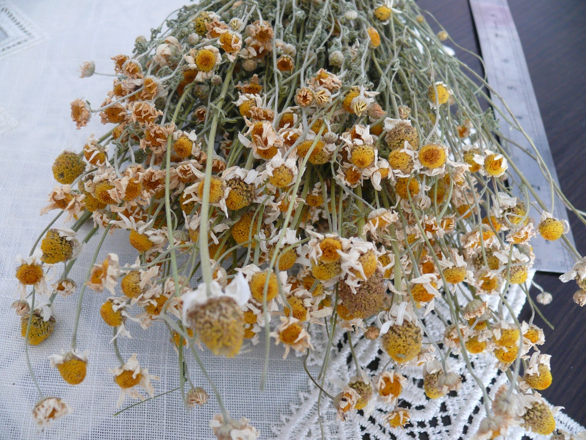Manzanilla seca manzanilla blanca flor seca hierbas secas - Etsy España