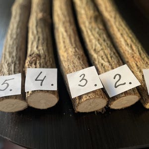 Elder Branches, Dried Elder Twigs, Branch Black Elder,sambucus Nigra ...