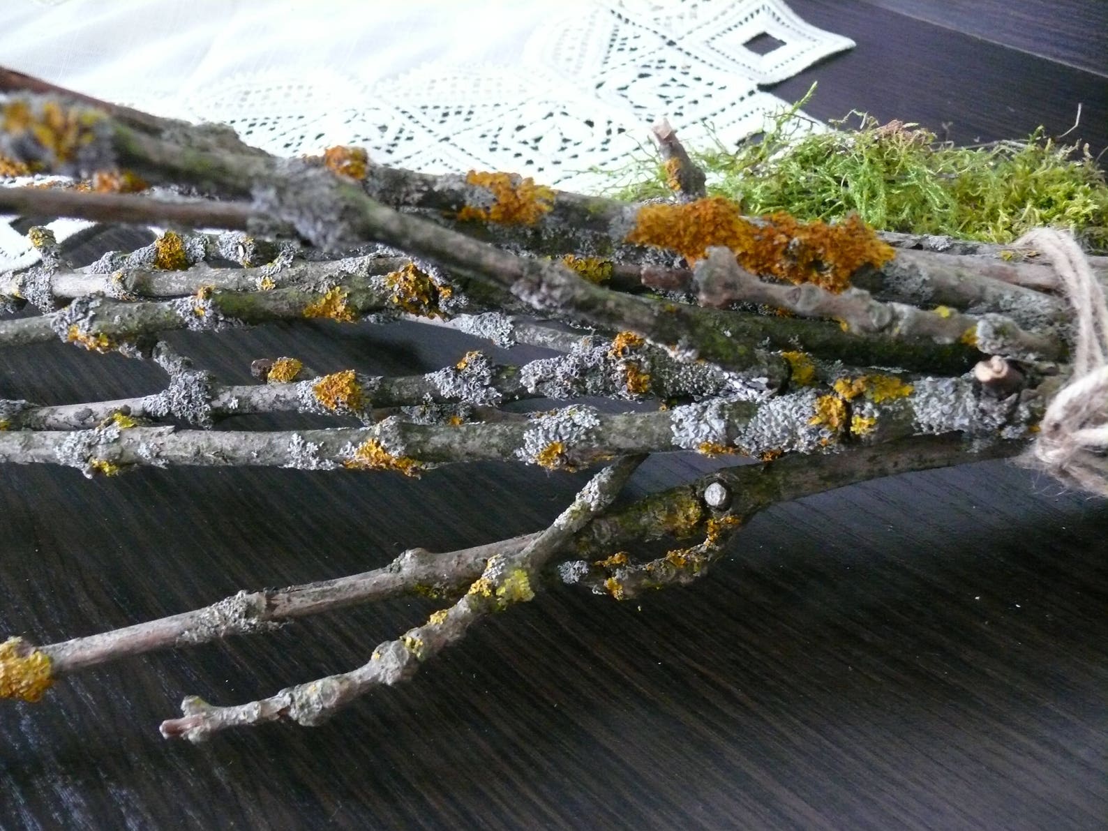 Lichen Real, Bright Natural Tree, Rustic Home Decor, Simple Wood Decor ...