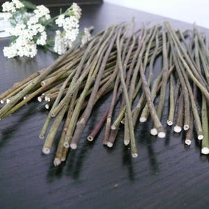 Yarrow Stalks, I Ching, Dried Yarrow, Yarrow Sticks. - Etsy