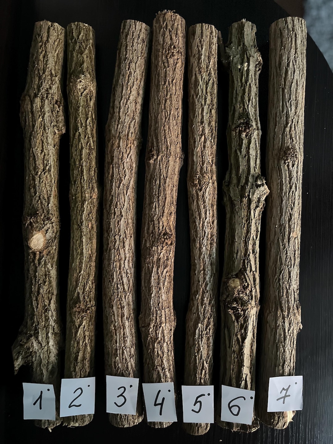 Elder Branches, Dried Elder Twigs, Branch Black Elder,sambucus Nigra ...