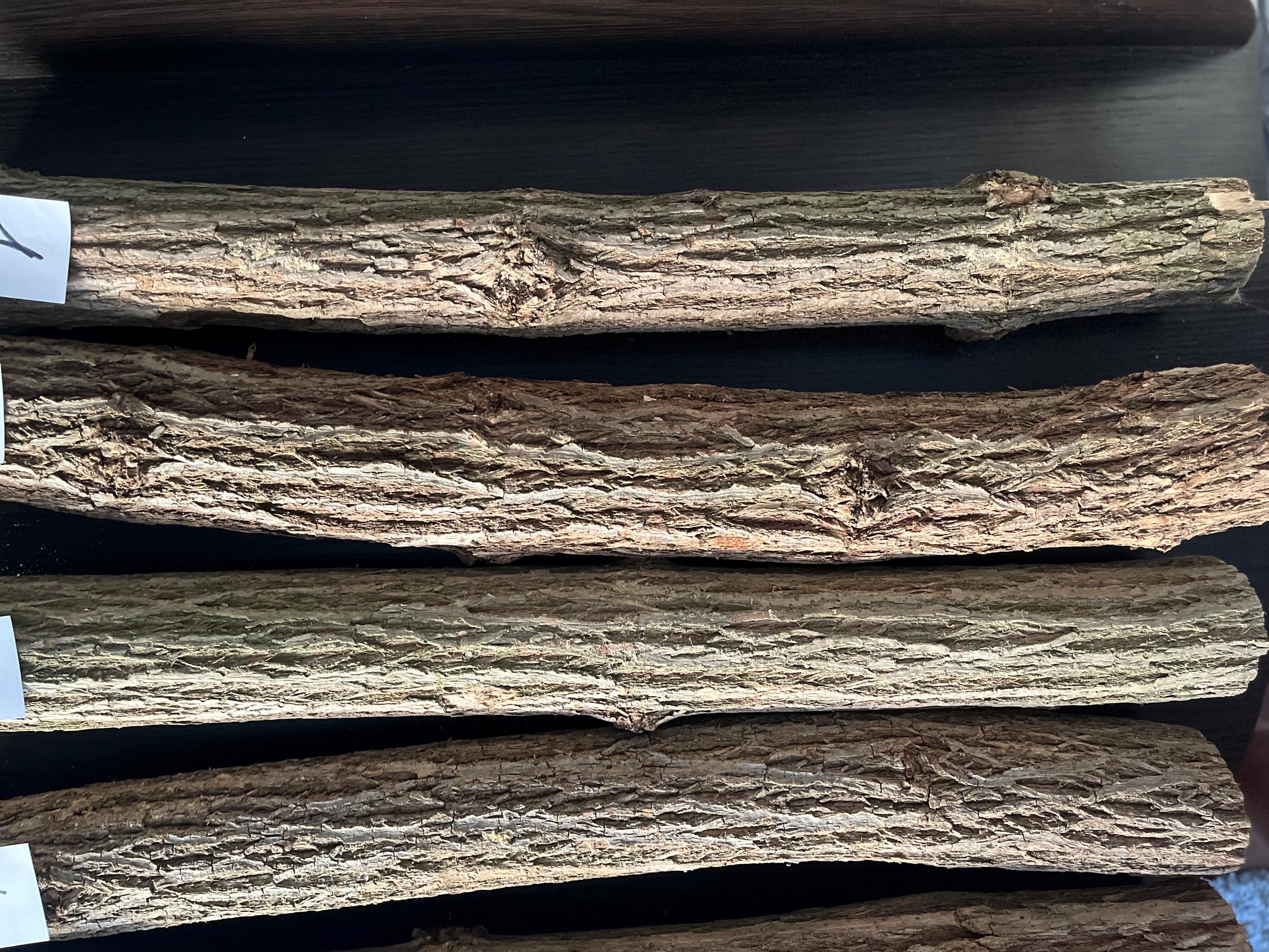 Elder Branches, Dried Elder Twigs, Branch Black Elder,sambucus Nigra ...
