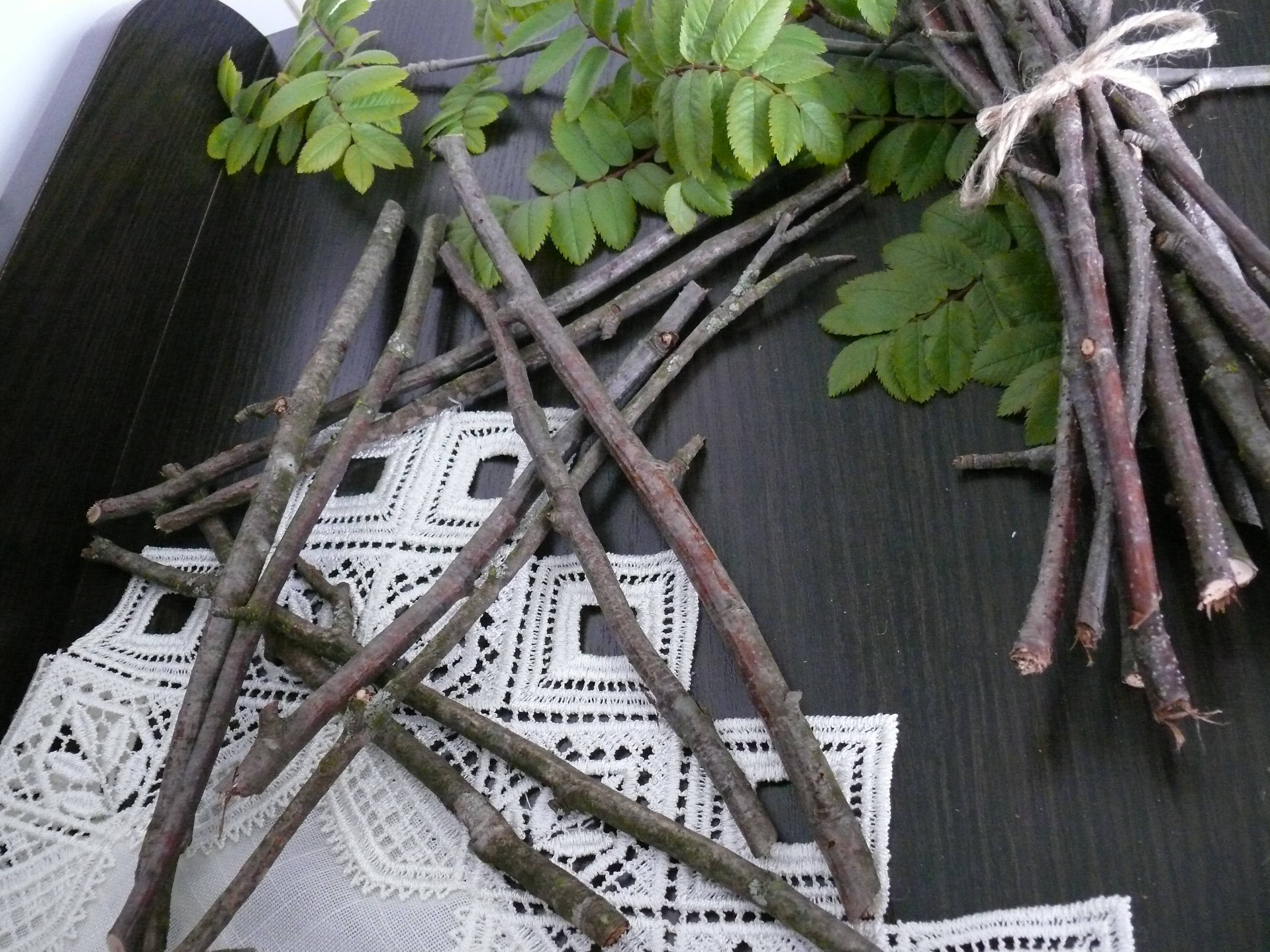 Rowan Branches Bundle, Shamanic Wood Twigs, Rustic Decor. - Etsy