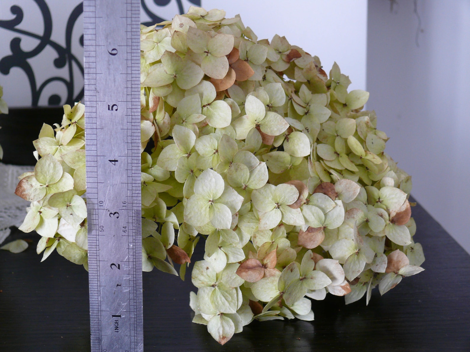 Hydrangea Dried Hydrangea Dried Flowers Home Decor DIY | Etsy