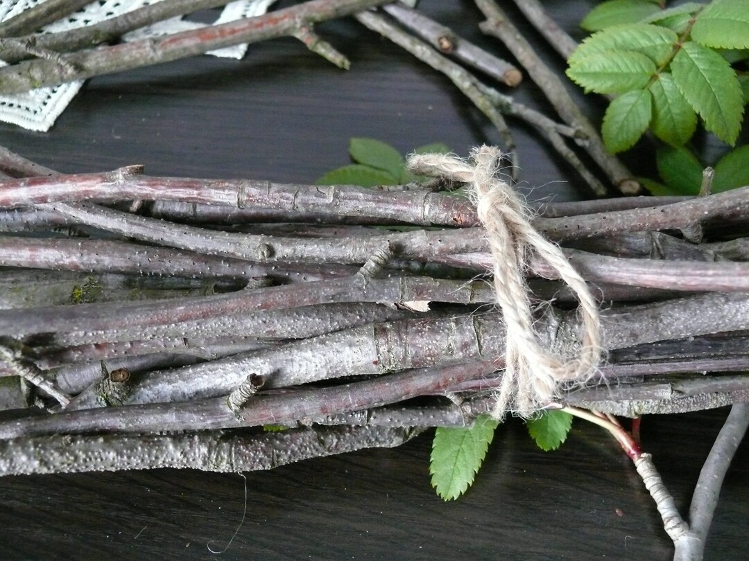 Rowan Branches Bundle, Shamanic Wood Twigs, Rustic Decor. - Etsy