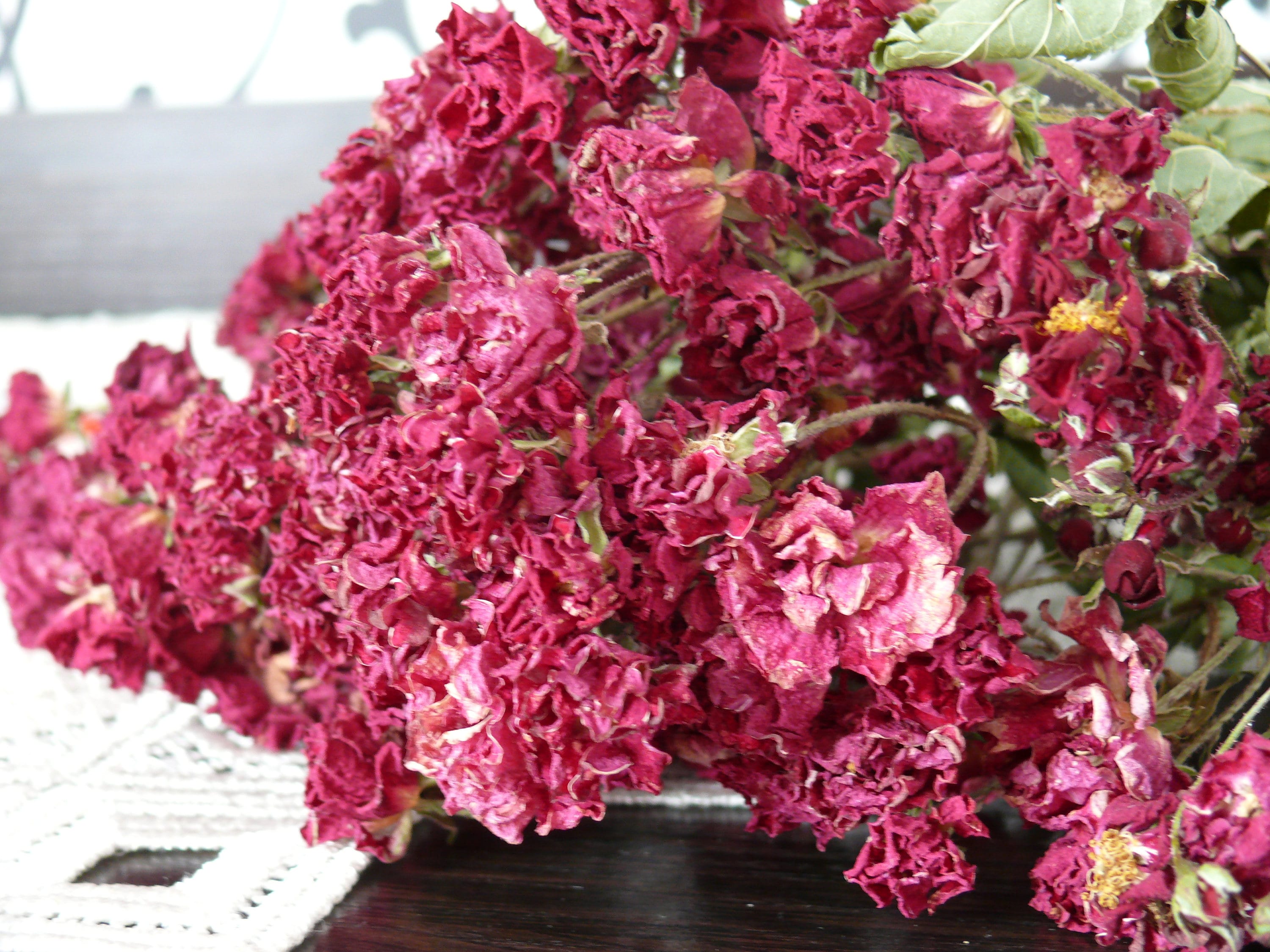 Dried Rose Small Dry Rose Bouquet of Dry Roses Bouguet - Etsy