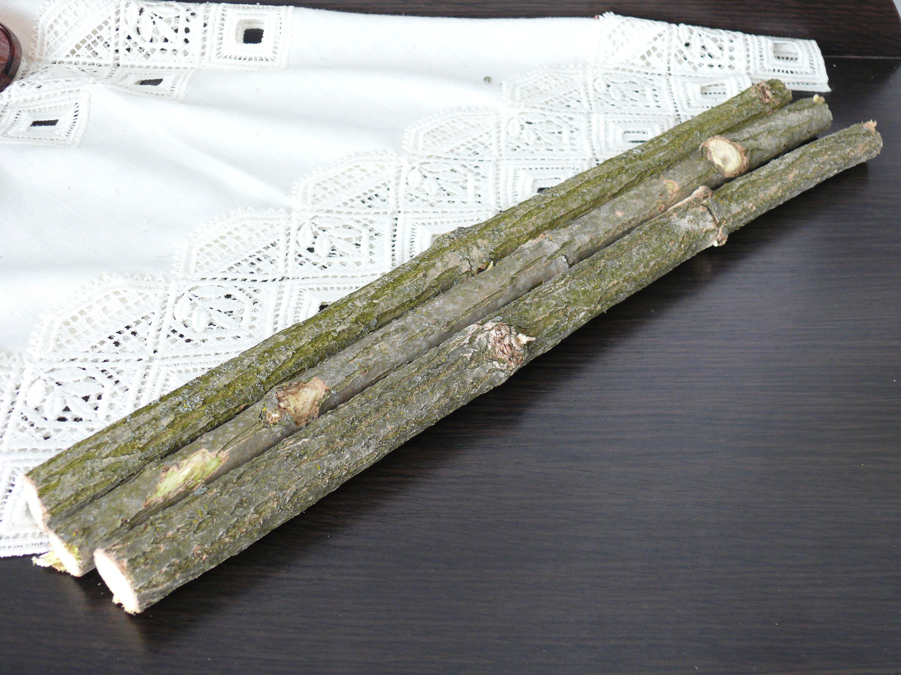 Elder branches Dried Elder Twigs Branch Black elderSambucus | Etsy