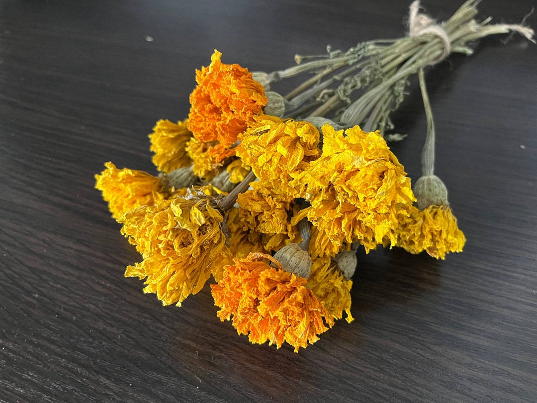 Marigolds, Yellow Marigolds, Dry Marigolds, Yellow Wedding, Diy, Large ...