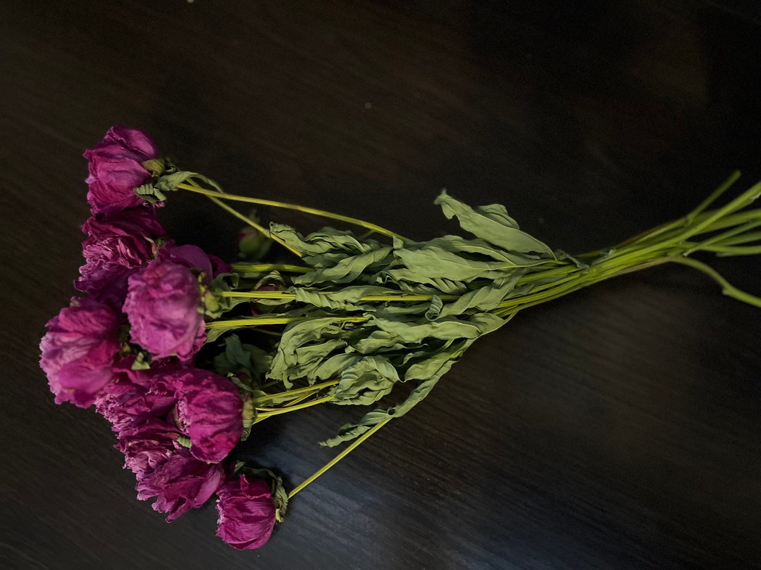 Dried Peonies, Dried Flowers, Dried Bouguets, Dried Peony, Peony ...