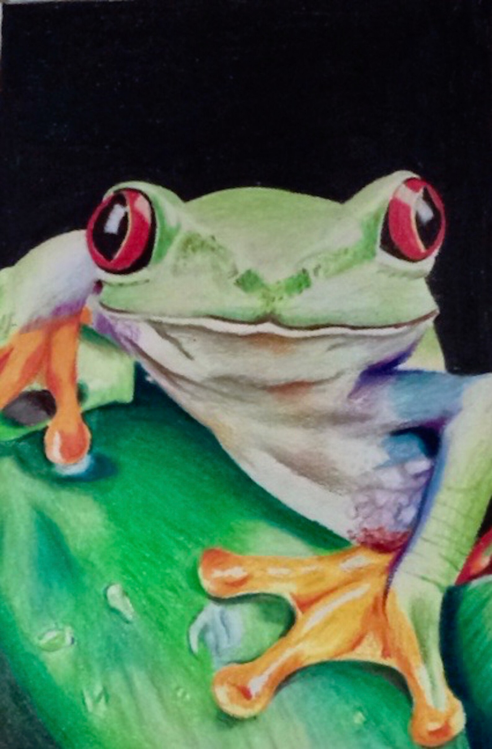 Frog Print Download, Printable Art, Rainforest, Wall Art - Etsy