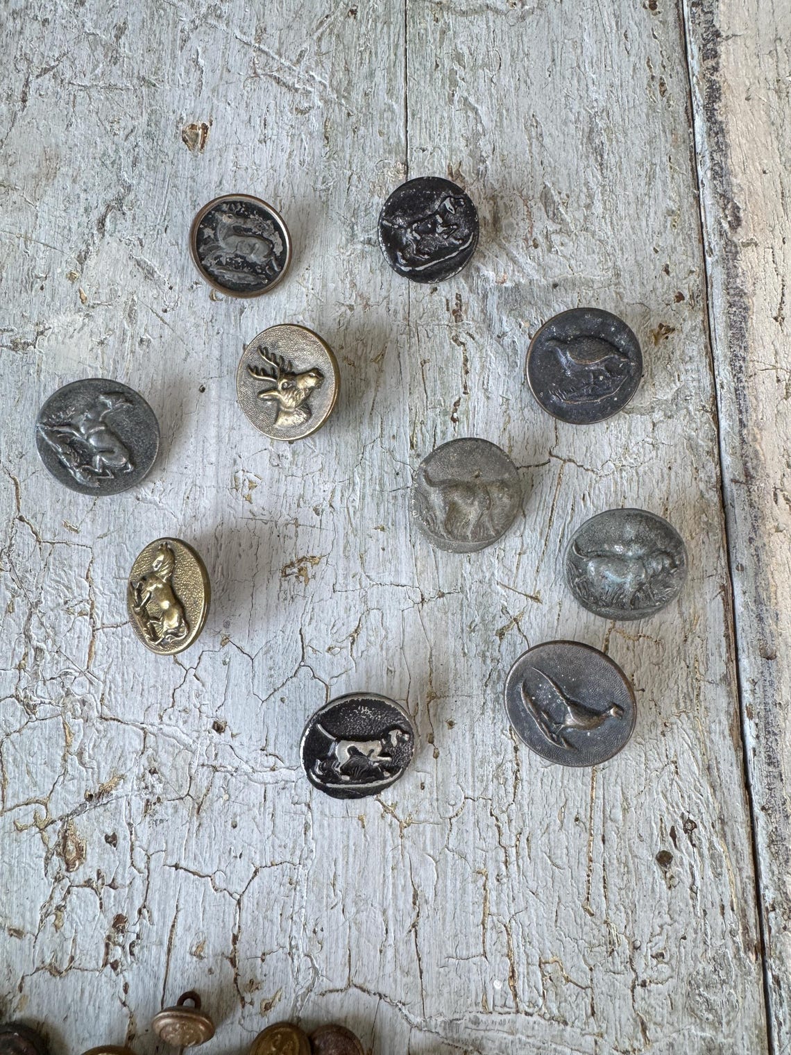 10 Antique French Hunting Coat Buttons Animals Animal Shank Back Design ...