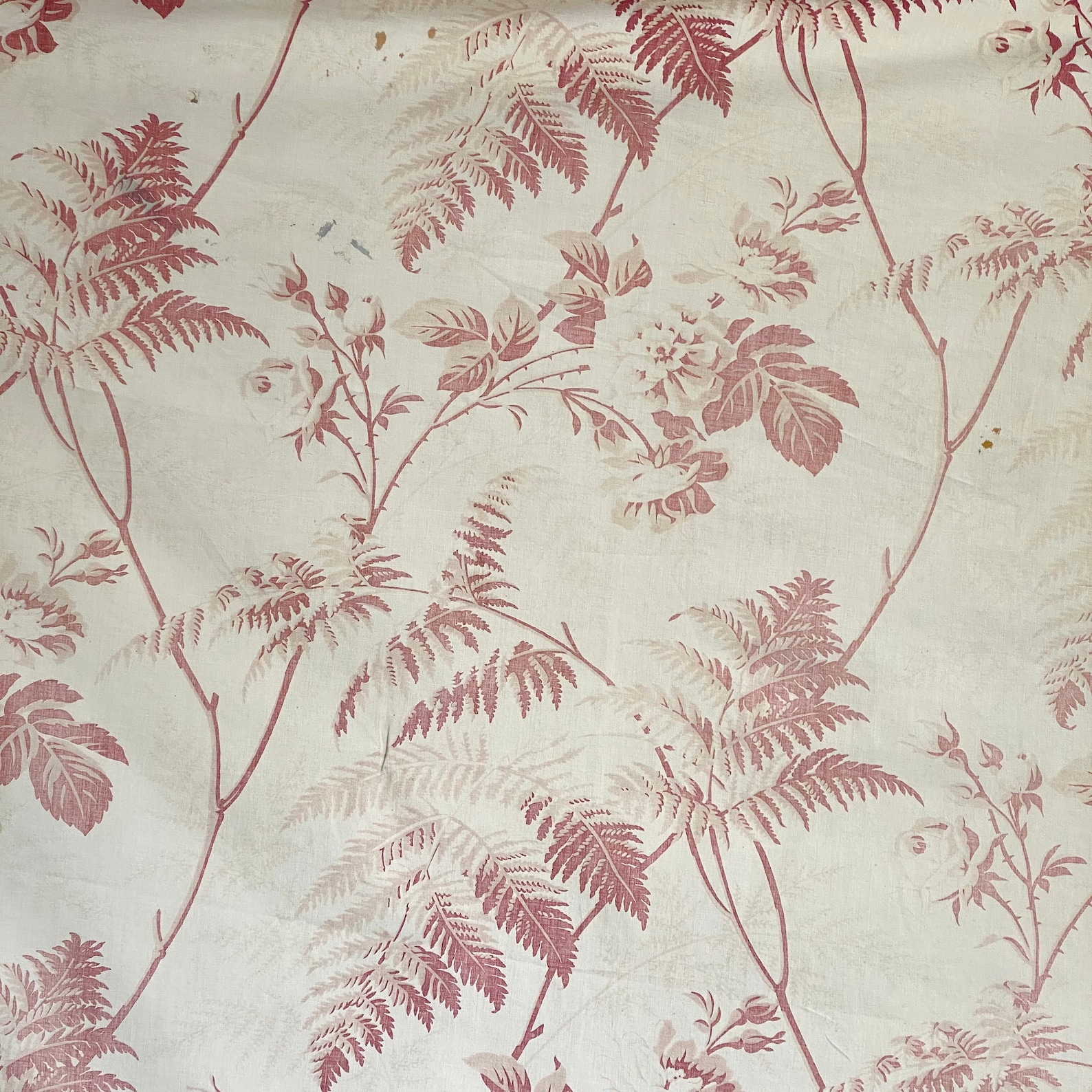 Antique Faded Vintage Rose Fern Pattern Scalloped Edge Textile | Etsy
