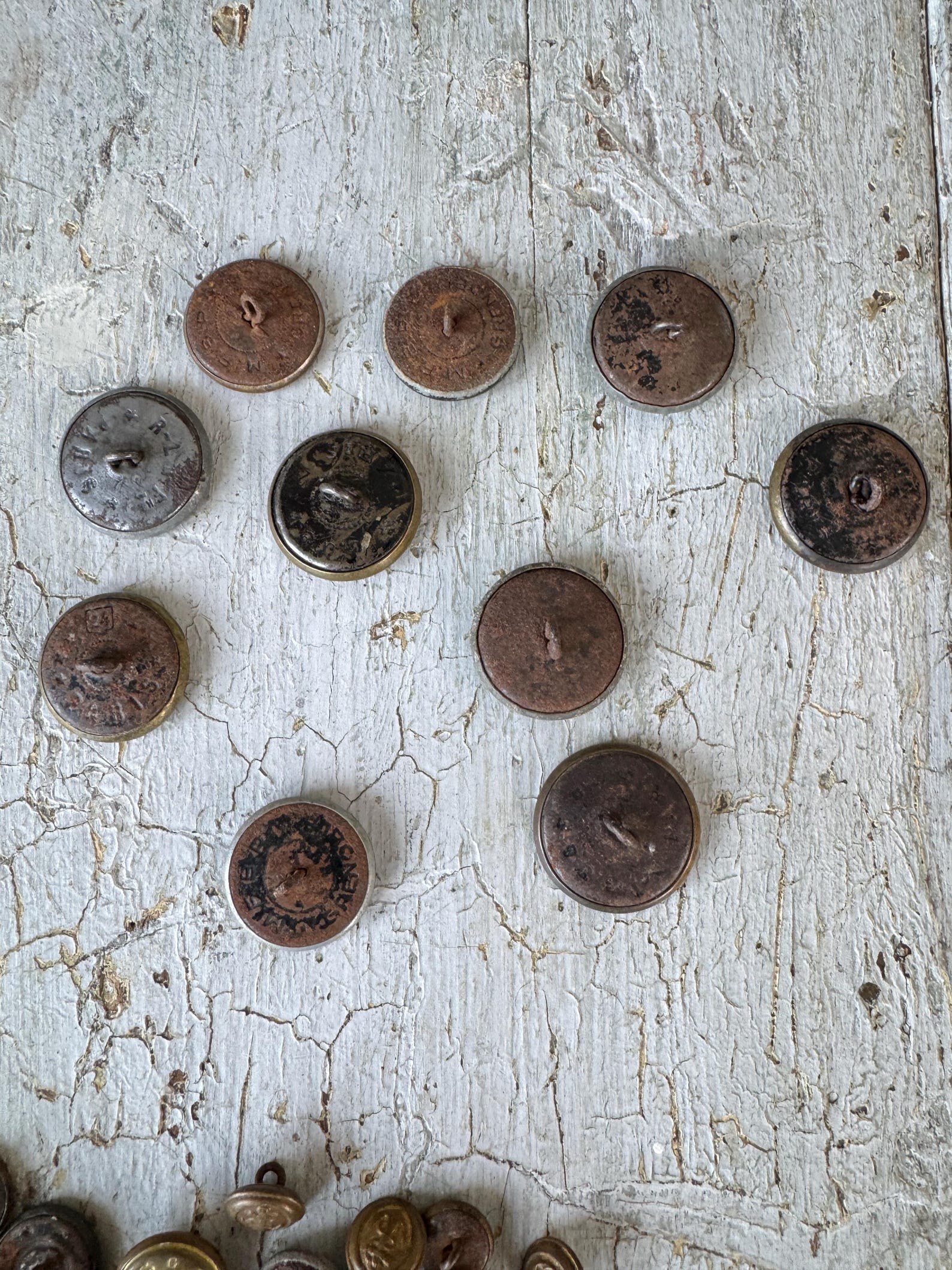 10 Antique French Hunting Coat Buttons Animals Animal Shank Back Design ...