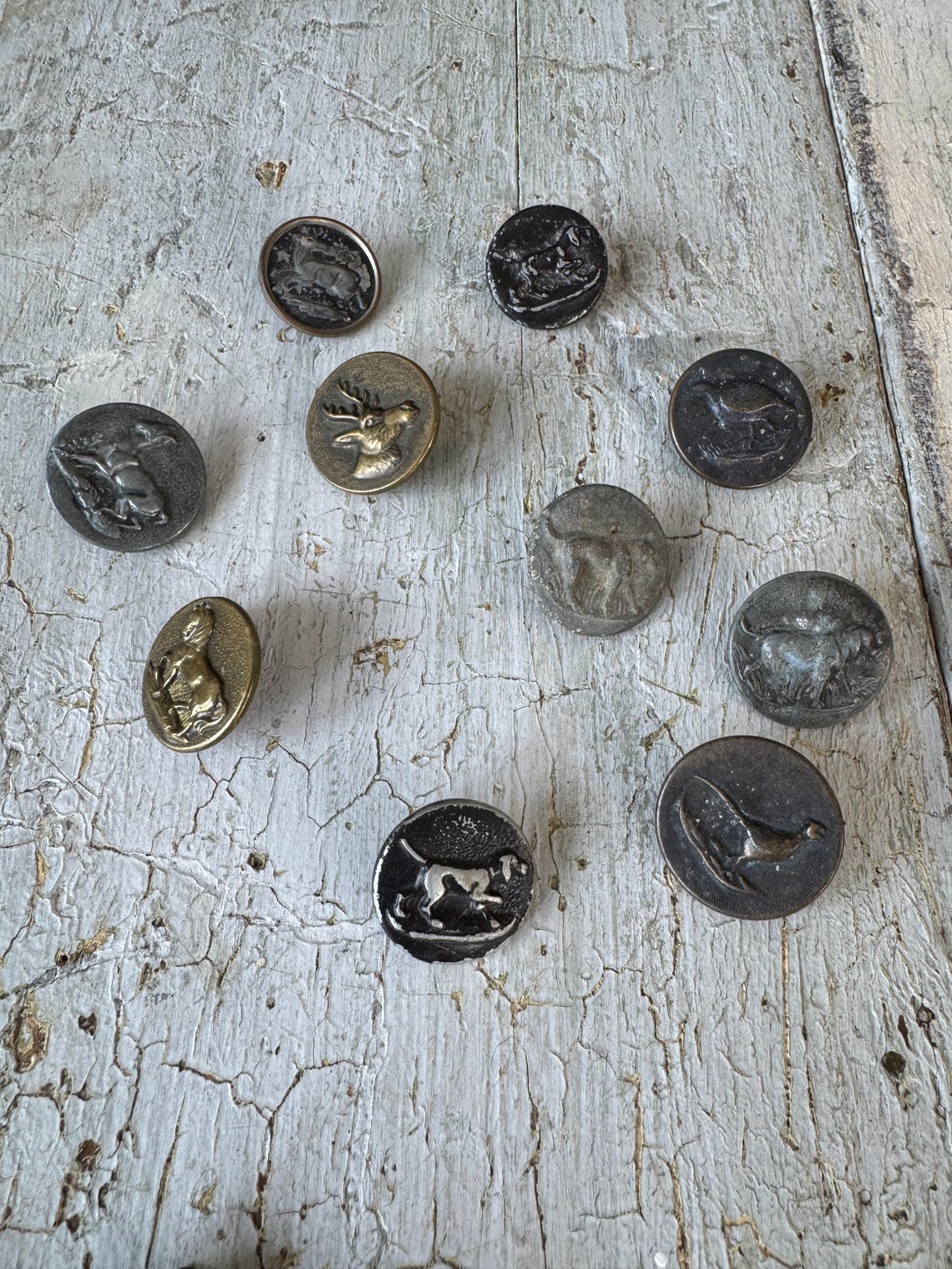10 Antique French Hunting Coat Buttons Animals Animal Shank Back Design ...