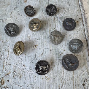 10 Antique French Hunting Coat Buttons Animals Animal Shank Back Design ...