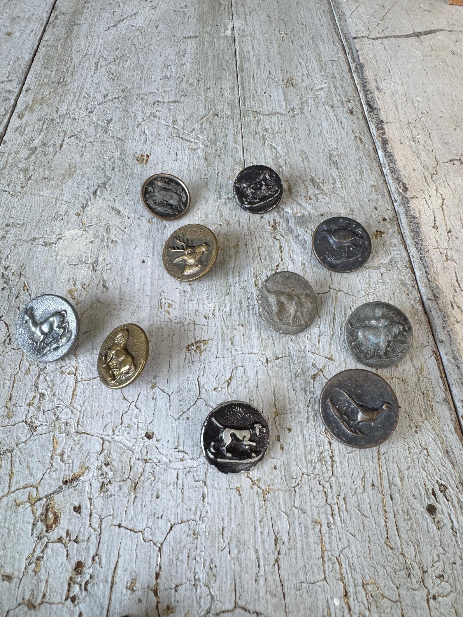 10 Antique French Hunting Coat Buttons Animals Animal Shank Back Design ...