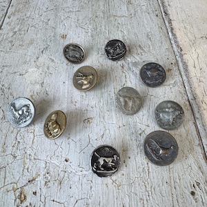10 Antique French Hunting Coat Buttons Animals Animal Shank Back Design ...