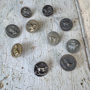 10 Antique French Hunting Coat Buttons Animals Animal Shank Back Design ...