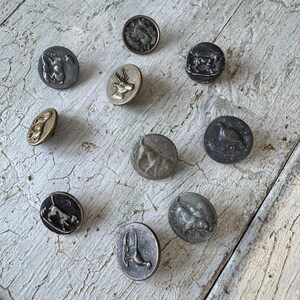 10 Antique French Hunting Coat Buttons Animals Animal Shank Back Design ...