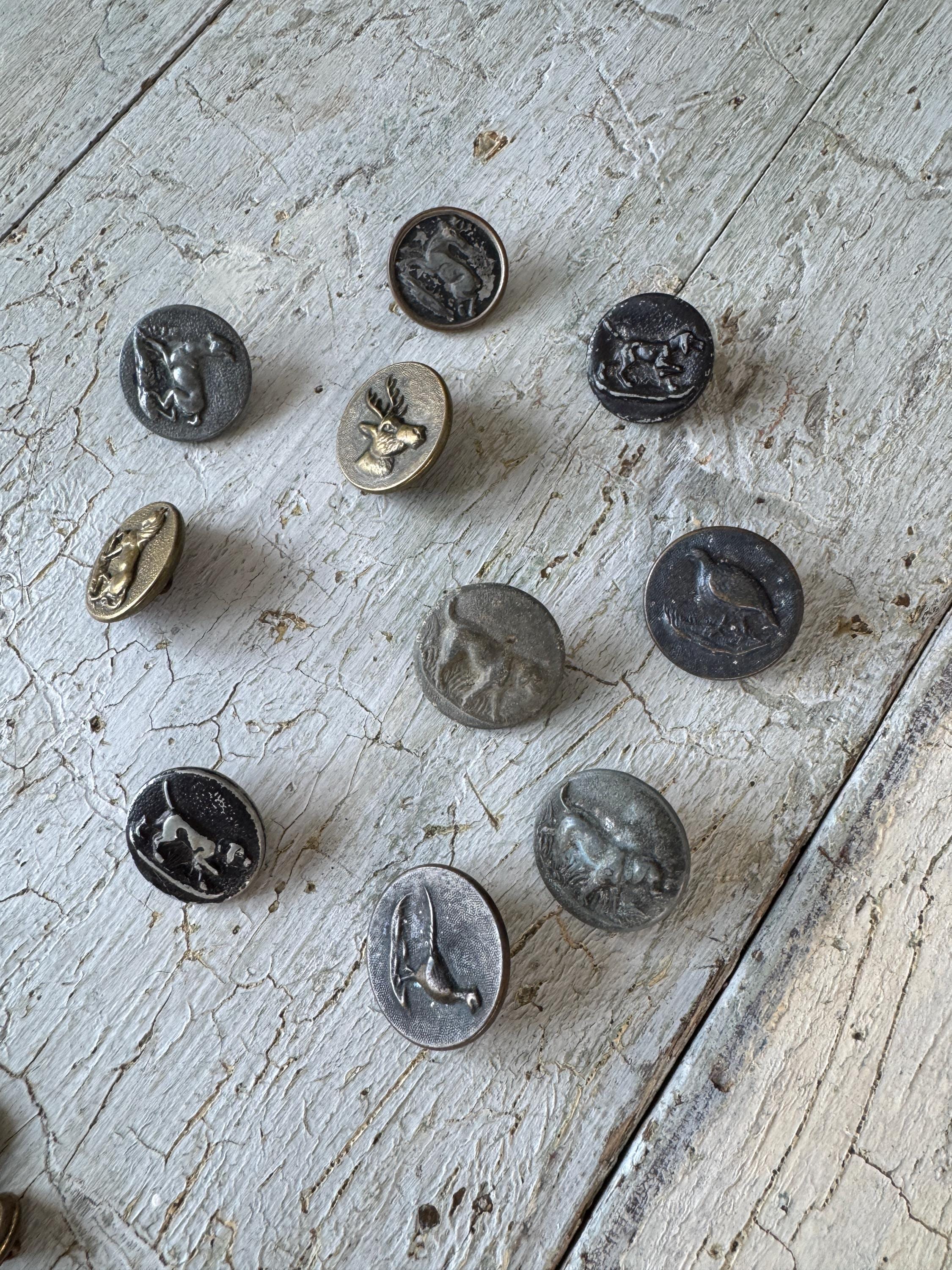 10 Antique French Hunting Coat Buttons Animals Animal Shank Back Design ...